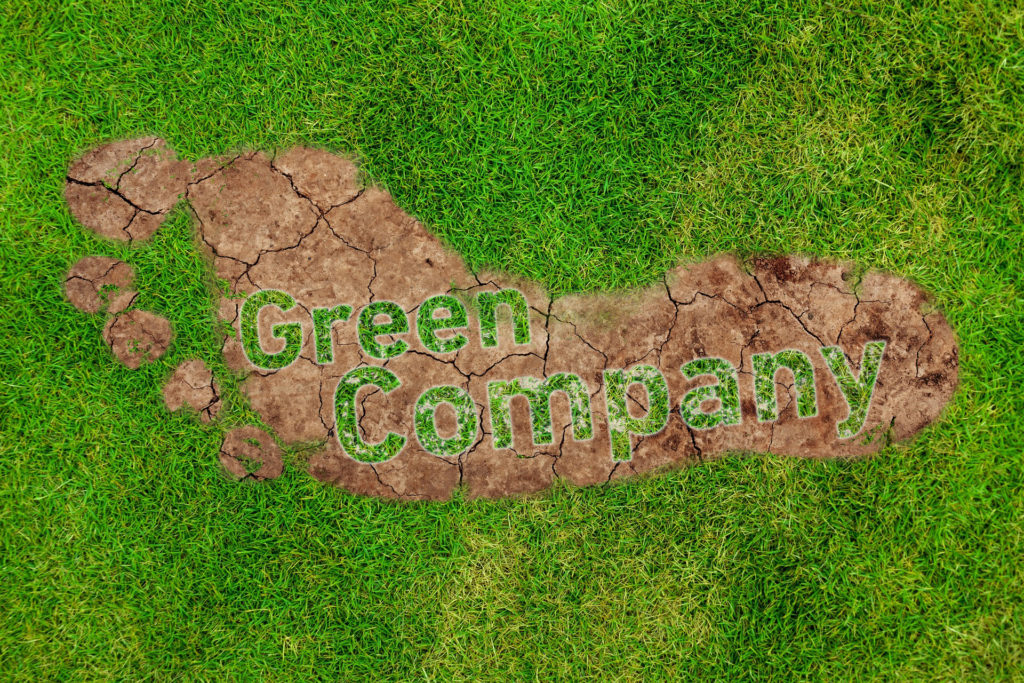 Green Company - Verlagshaus.de